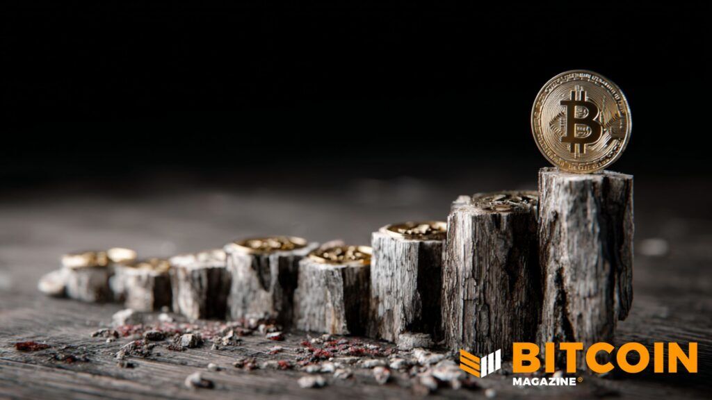 Bitcoin Moves Past Halfway Point In Halving Cycle As Supply Tightens ...