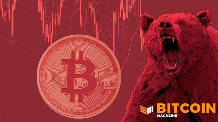 Bitcoin Price Crashes To $67,000 Range, Down 13% In A Week