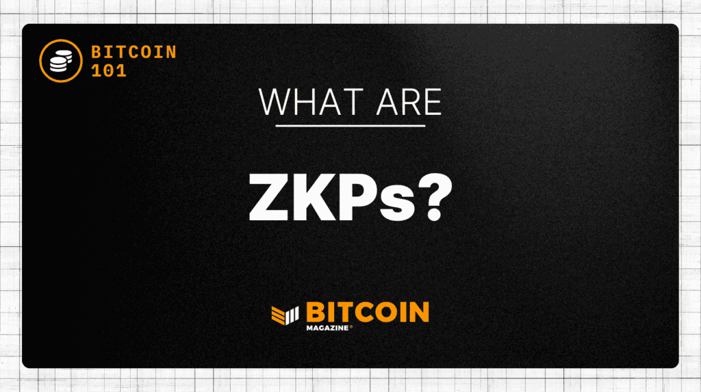What Are Zero-Knowledge Proofs (ZKPs)?
