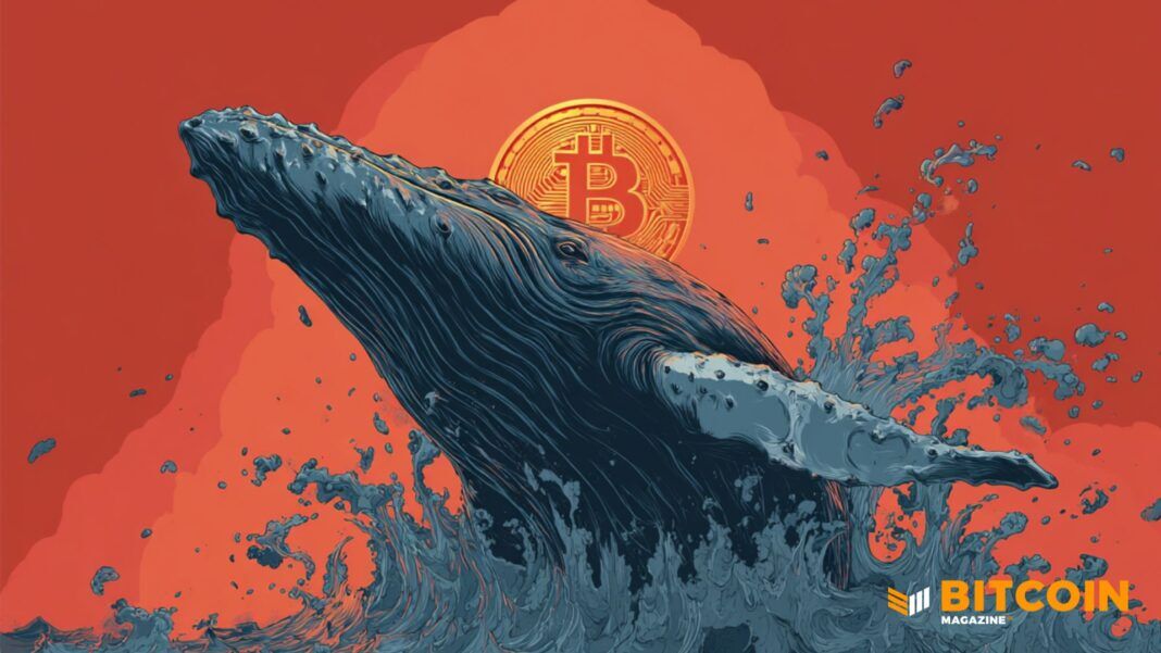 Bitcoin Whales Keep Buying, 100+ BTC Holders Hit New Highs